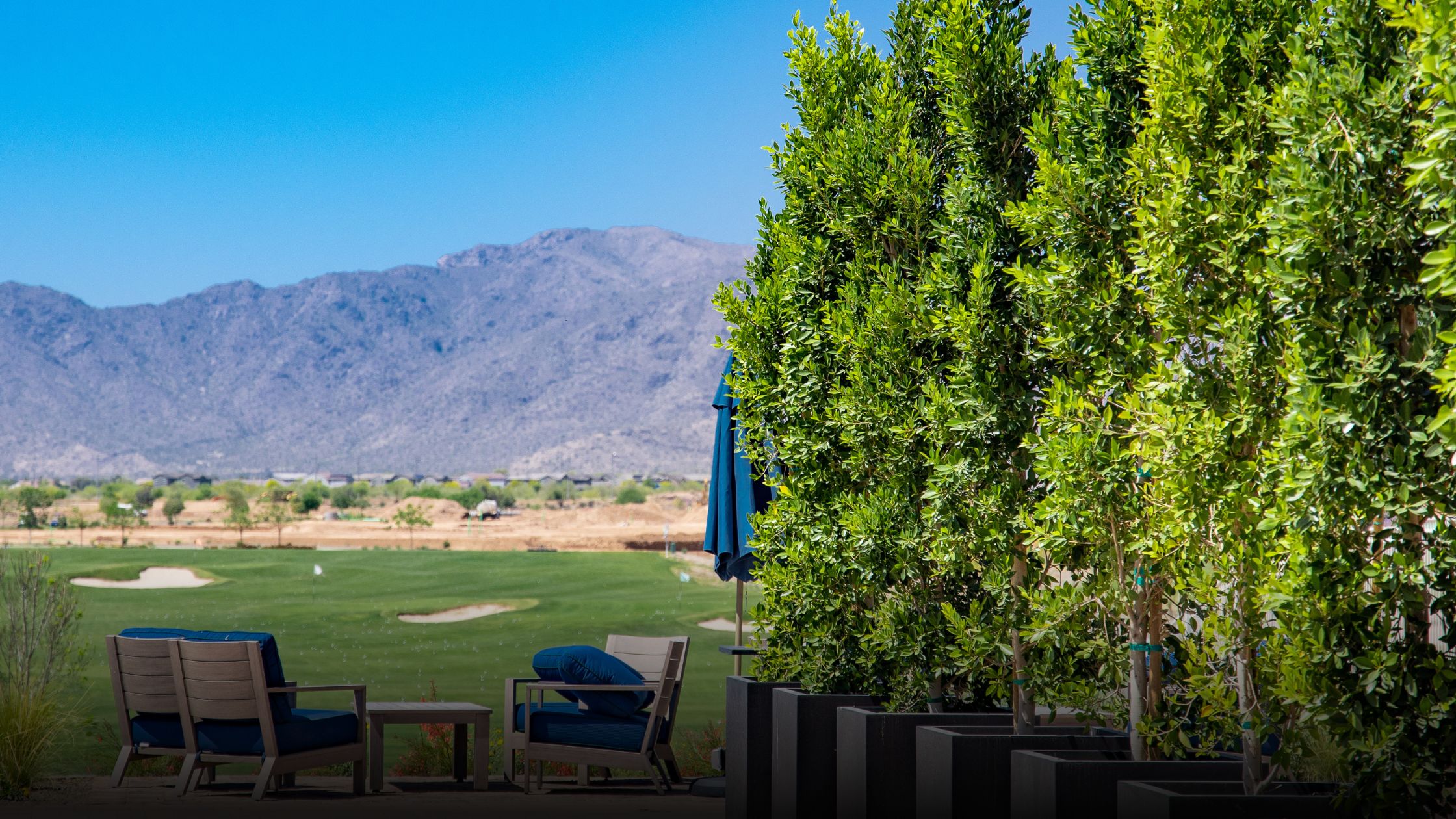 Moon Valley Nursery - Arizona Blog